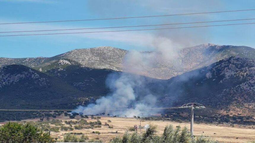 ΠΥΡΚΑΓΙΑ ΣΕ ΔΑΣΙΚΗ ΕΚΤΑΣΗ ΣΤΑ ΜΕΓΑΡΑ – ΕΠΙΧΕΙΡΟΥΝ ΙΣΧΥΡΕΣ ΔΥΝΑΜΕΙΣ ΤΗΣ ...