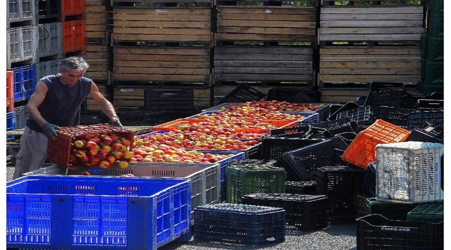 ΤΙ ΣΗΜΑΙΝΕΙ Ο ΠΟΛΕΜΟΣ ΣΤΗΝ ΟΥΚΡΑΝΙΑ ΓΙΑ ΤΗΝ ΟΙΚΟΝΟΜΙΑ ΤΗΣ ΒΟΡΕΙΑΣ ...