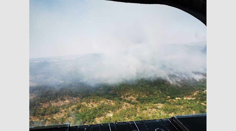 ΒΕΛΤΙΩΜΕΝΗ Η ΕΙΚΟΝΑ ΤΗΣ ΦΩΤΙΑΣ ΣΤΗ ΔΑΔΙΑ - Active News - Η διαφορά στην ...