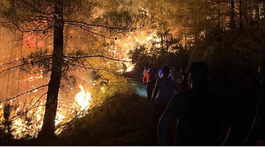 ΠΥΚΝΟ ΔΑΣΟΣ ΚΑΙΕΙ Η ΦΩΤΙΑ ΣΤΗ ΘΑΣΟ - ΔΕΙΤΕ ΒΙΝΤΕΟ ΚΑΙ ΦΩΤΟΓΡΑΦΙΕΣ ...