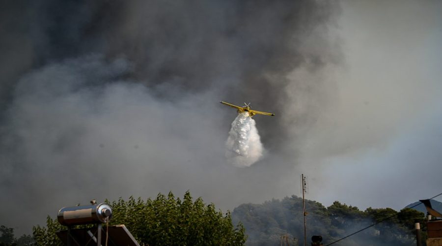 ΦΩΤΙΑ ΣΤΗ ΘΑΣΟ: ΟΛΟΝΥΧΤΙΑ ΜΑΧΗ ΜΕ ΤΙΣ ΦΛΟΓΕΣ - ΑΝΑΖΩΠΥΡΩΘΗΚΕ ΤΟ ΜΕΤΩΠΟ ...