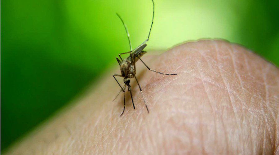 ΣΗΜΑ ΚΙΝΔΥΝΟΥ ΓΙΑ ΤΟΝ ΙΟ ΤΟΥ ΔΥΤΙΚΟΥ ΝΕΙΛΟΥ - Active News - Η διαφορά ...