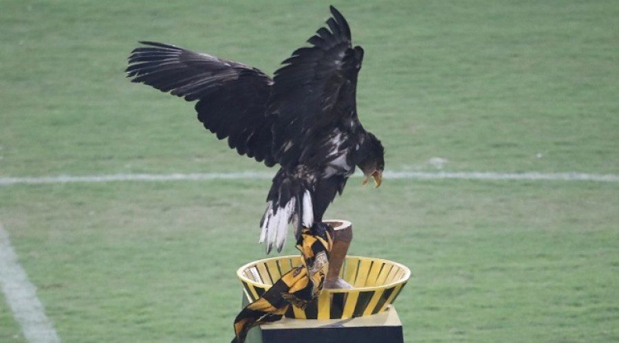 ΕΓΚΑΙΝΙΑ ΤΟΥ ΝΕΟΥ ΓΗΠΕΔΟΥ ΤΗΣ ΑΕΚ: Η ΠΡΩΤΗ ΠΤΗΣΗ ΤΟΥ ΑΕΤΟΥ - Active ...