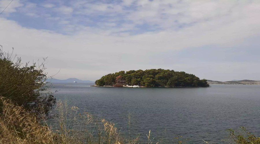ΑΓΙΟΝΗΣΙ: ΤΟ ΚΑΤΑΠΡΑΣΙΝΟ ΝΗΣΙ ΜΕ ΤΑ ΑΙΩΝΟΒΙΑ ΠΛΑΤΑΝΙΑ ΠΟΥ ΛΕΗΛΑΤΗΘΗΚΕ ...