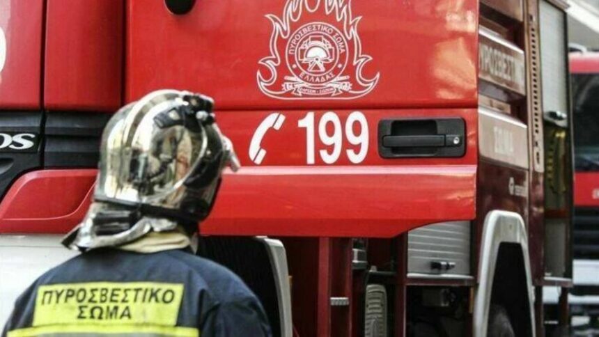 ΦΩΤΙΑ ΣΕ ΕΡΓΟΣΤΑΣΙΟ ΞΥΛΕΙΑΣ ΣΤΗ ΒΩΒΟΥΣΑ ΙΩΑΝΝΙΝΩΝ - ΟΙ ΦΛΟΓΕΣ ΦΤΑΝΟΥΝ ...