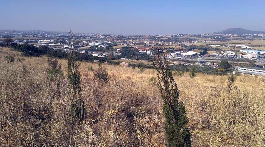 Η ΘΕΣΣΑΛΟΝΙΚΗ ΑΠΟΚΤΑ ΠΕΡΙΑΣΤΙΚΟ ΔΑΣΟΣ ΑΝΑΨΥΧΗΣ ΜΕ 300.000 ΔΕΝΤΡΑ ...