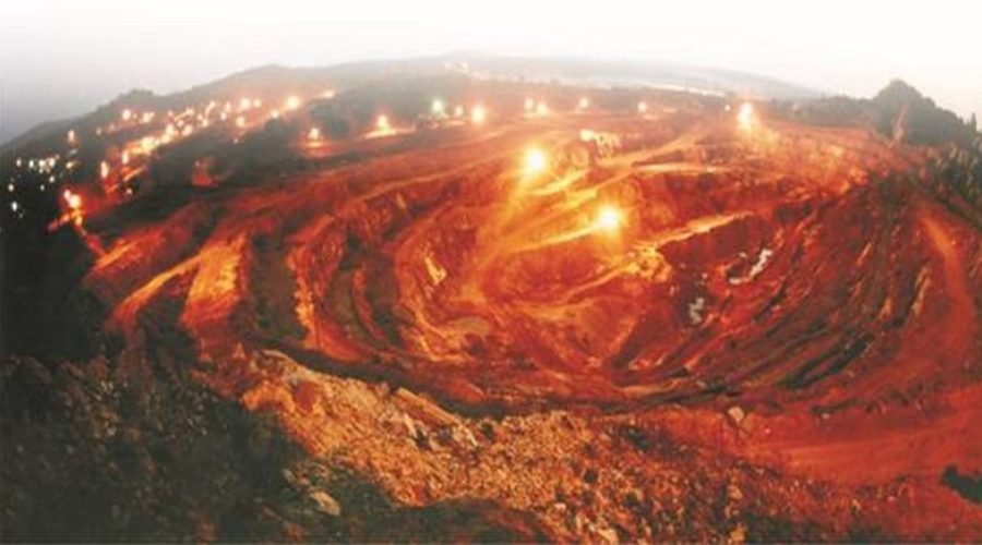 Η ΑΝΑΖΗΤΗΣΗ ΤΗΣ ΚΙΝΑΣ ΓΙΑ ΣΤΟΙΧΕΙΑ ΣΠΑΝΙΩΝ ΓΑΙΩΝ ΚΑΙ ΟΙ ΕΠΙΠΤΩΣΕΙΣ ΣΤΟ ...