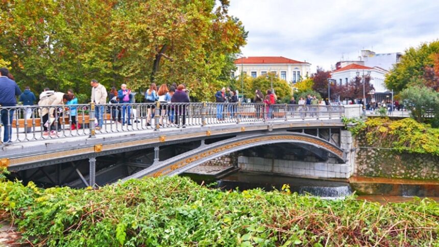 ΤΡΑΓΩΔΙΑ ΣΕ ΣΧΟΛΙΚΗ ΕΚΔΡΟΜΗ ΣΤΑ ΤΡΙΚΑΛΑ: 15ΧΡΟΝΗ ΠΕΘΑΝΕ ΣΕ ΝΥΧΤΕΡΙΝΟ ...