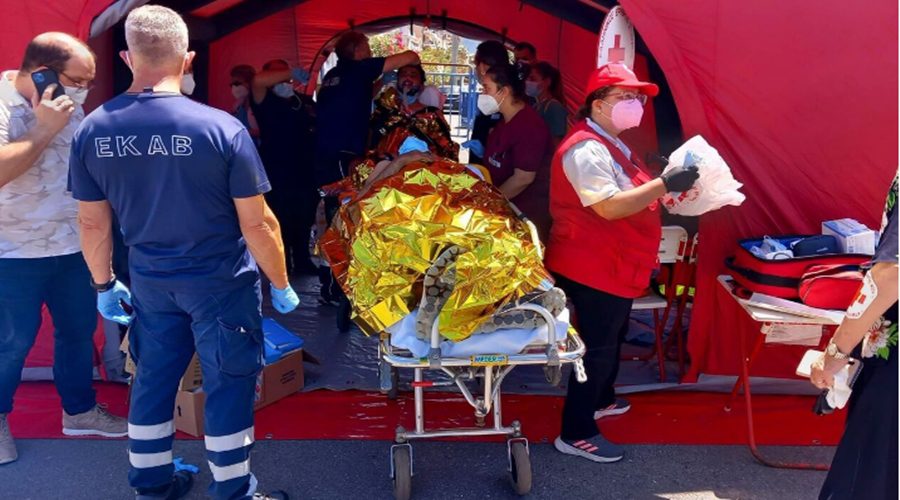 ΝΑΥΑΓΙΟ ΣΤΗΝ ΠΥΛΟ: ΠΛΗΡΟΦΟΡΙΕΣ ΓΙΑ ΕΞΙ ΔΙΑΚΙΝΗΤΕΣ ΜΕΣΑ ΣΤΟΥΣ ...