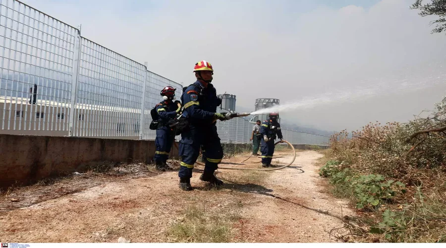 ΦΩΤΙΑ ΣΕ ΔΑΣΟΣ ΣΤΗΝ ΥΛΙΚΗ ΒΟΙΩΤΙΑΣ - Active News - Η διαφορά στην ενημέρωση